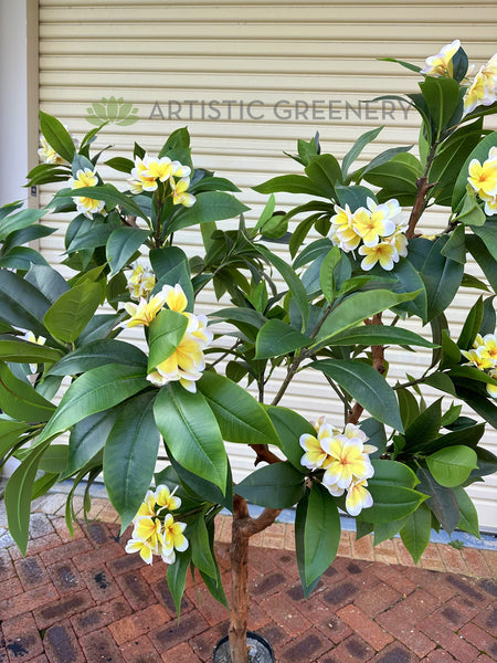 CT009B Artificial Frangipani Tree 185cm Tall | ARTISTIC GREENERY ...
