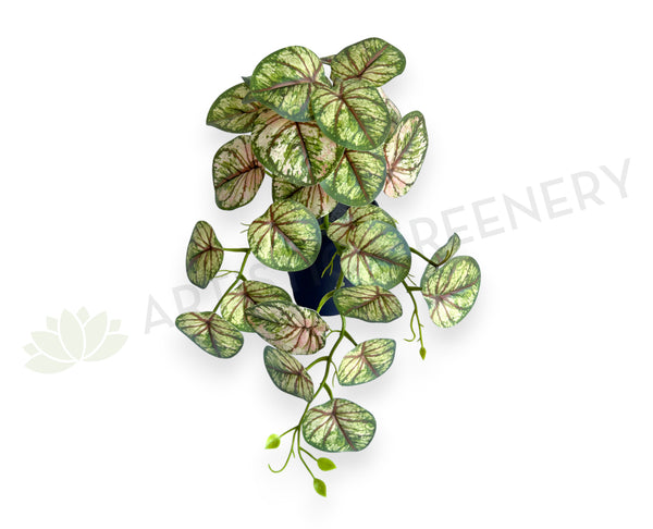 HP0101 Artificial Hanging Caladium Plant 46cm 2 styles Red / White ...