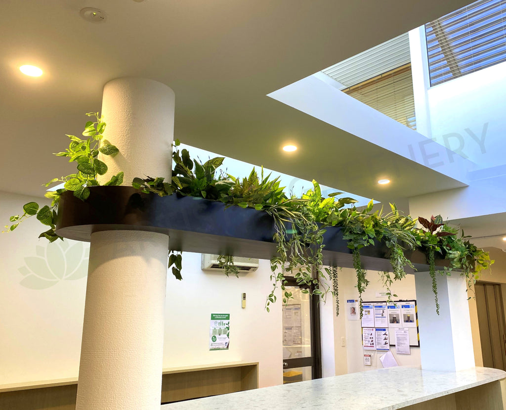 Perth Radiological Clinic (Subiaco) - Artificial Plants for Overhead ...