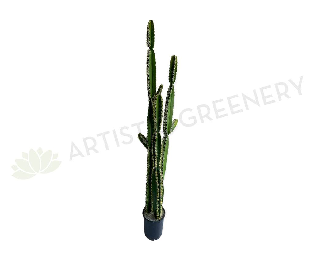 T0181 Artificial Pleated Cereus (Queen-of-the-night) Cereus Jamacaru ...