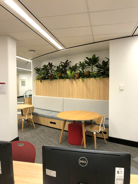 Murdoch University Library - Artificial Plants for Built-in Cabinets ...