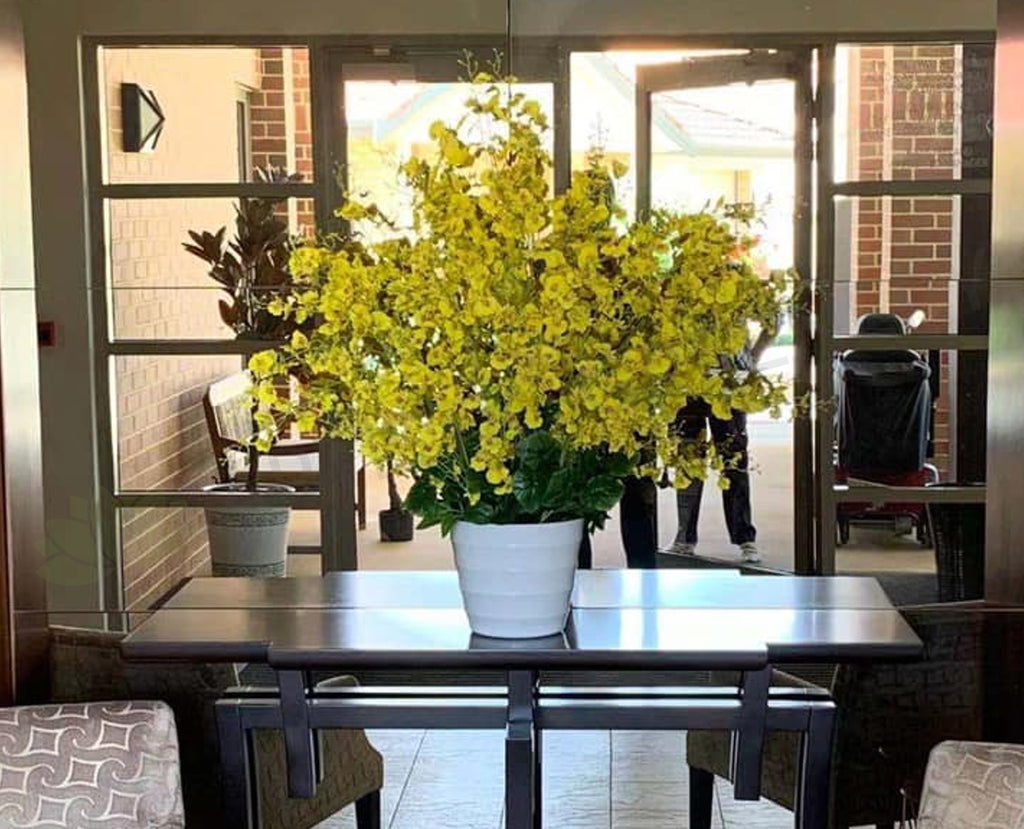 Acacia Living - Menora Gardens Aged Care Village - Plants & Flower ...