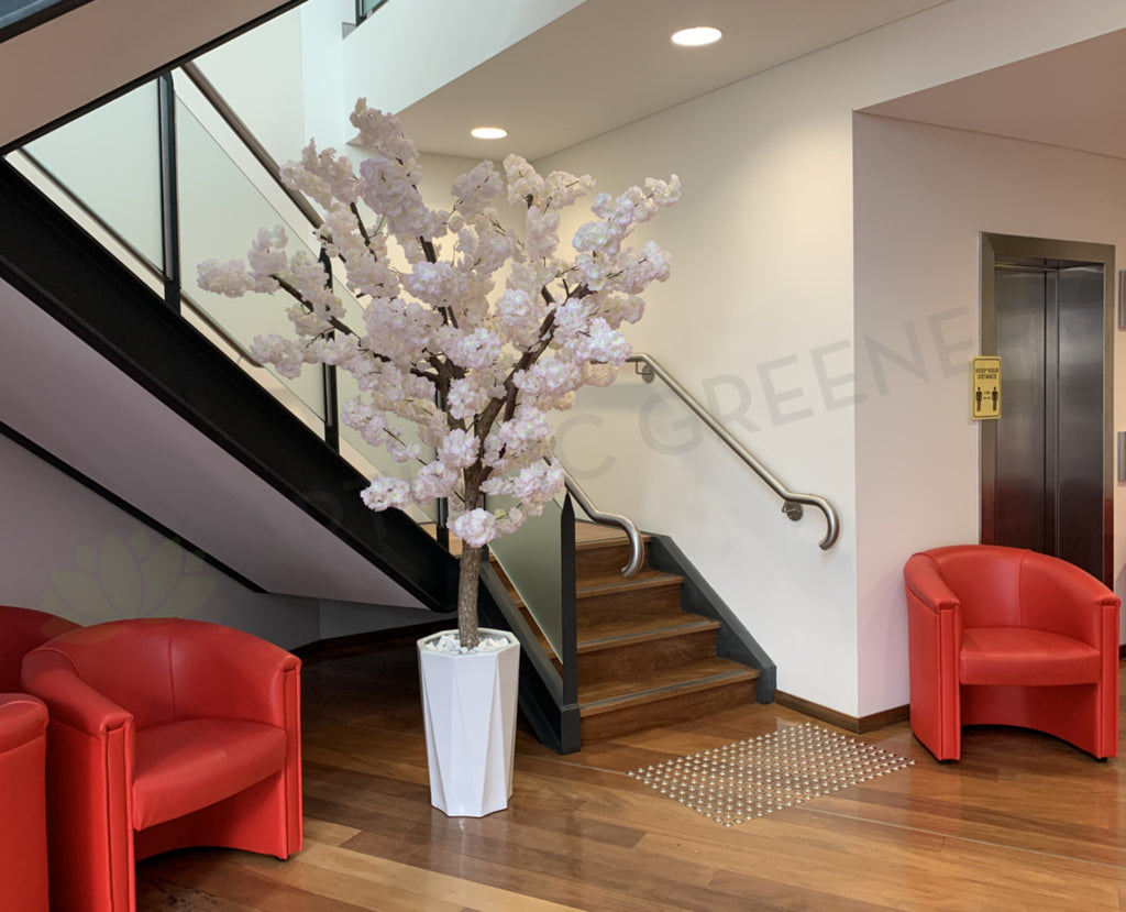 Citiplace Community Centre (City of Perth) - Mixture of Artificial ...