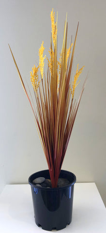 DS0026 Artificial Wild Grass / Beach Grass / Pampas Grass / Wheat Bunch ...