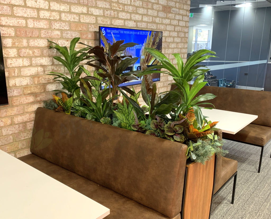Edith Cowan University (ECU) Library - Artificial Plants for Built-in ...
