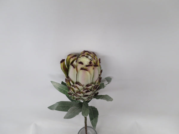 F0133 Artificial Protea Neriifolia / oleander leaf protea silk native ...