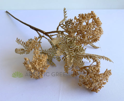 F0331 Artificial Wild Sago (Dry Style) 69cm 3 Colours | ARTISTIC ...