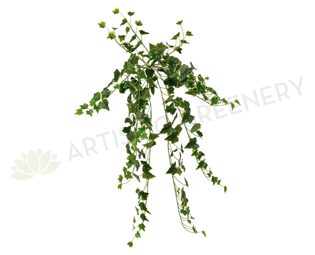 HP0044 Trailing Variegated Ivy 75cm Real Touch Perth Australia Malaga ...