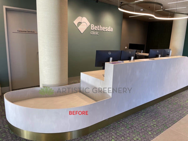 Bethesda Clinic (Cockburn Central) - Artificial Plants for Reception ...