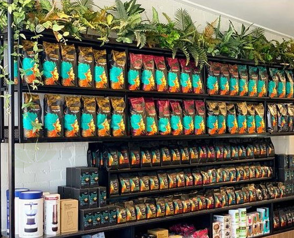 Port City Roasters (South Fremantle) - Artificial Plants for Display ...