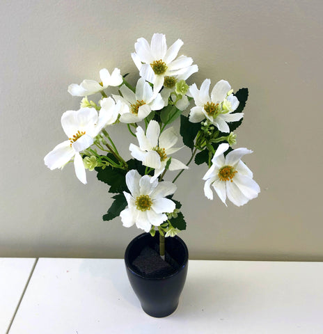 SP0295 Silk Cosmos Bunch 33cm White everlasting flowers for home Perth ...