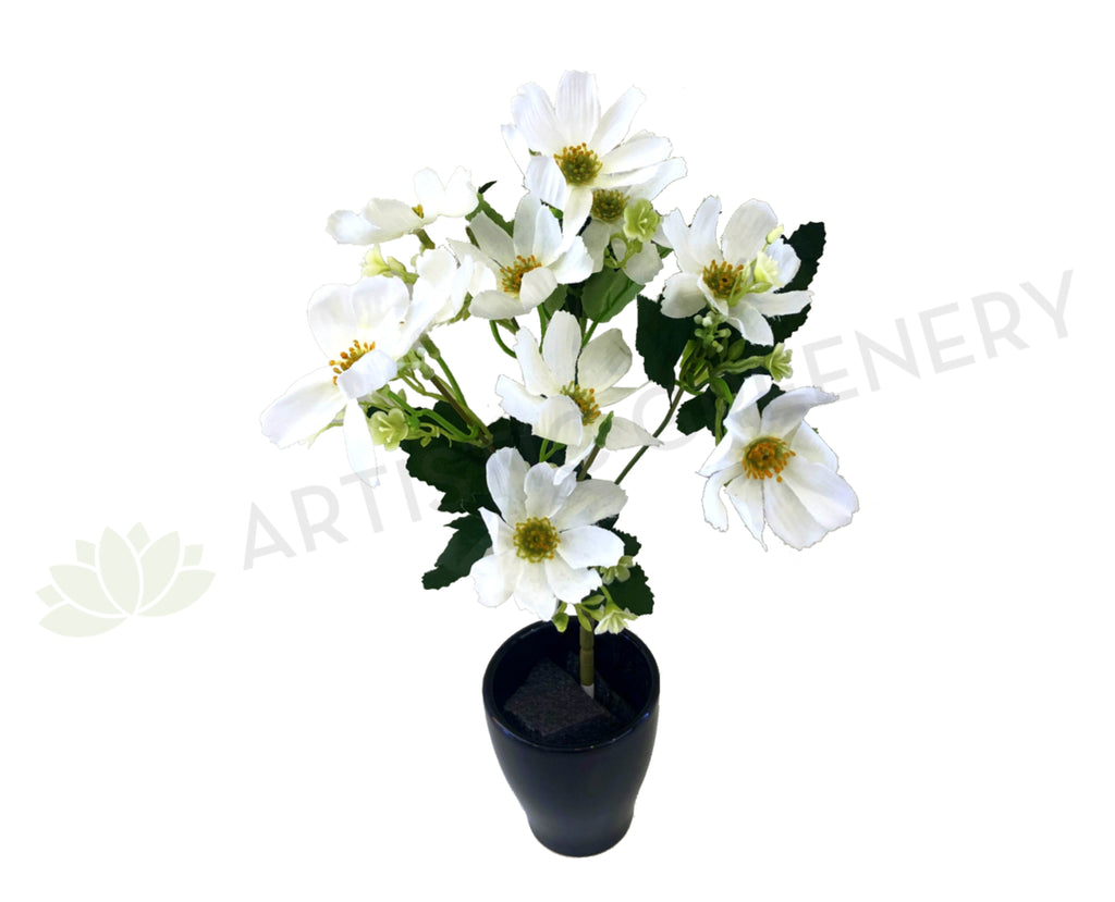 SP0295 Silk Cosmos Bunch 33cm White everlasting flowers for home Perth ...