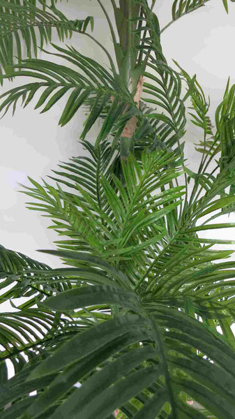 T0097 (New Style) Artificial Cabada Palm 250cm Perth Australia ...
