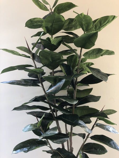 T0130 Artificial Rubber Tree Ficus Elastica Ruby 170cm – Artistic Greenery